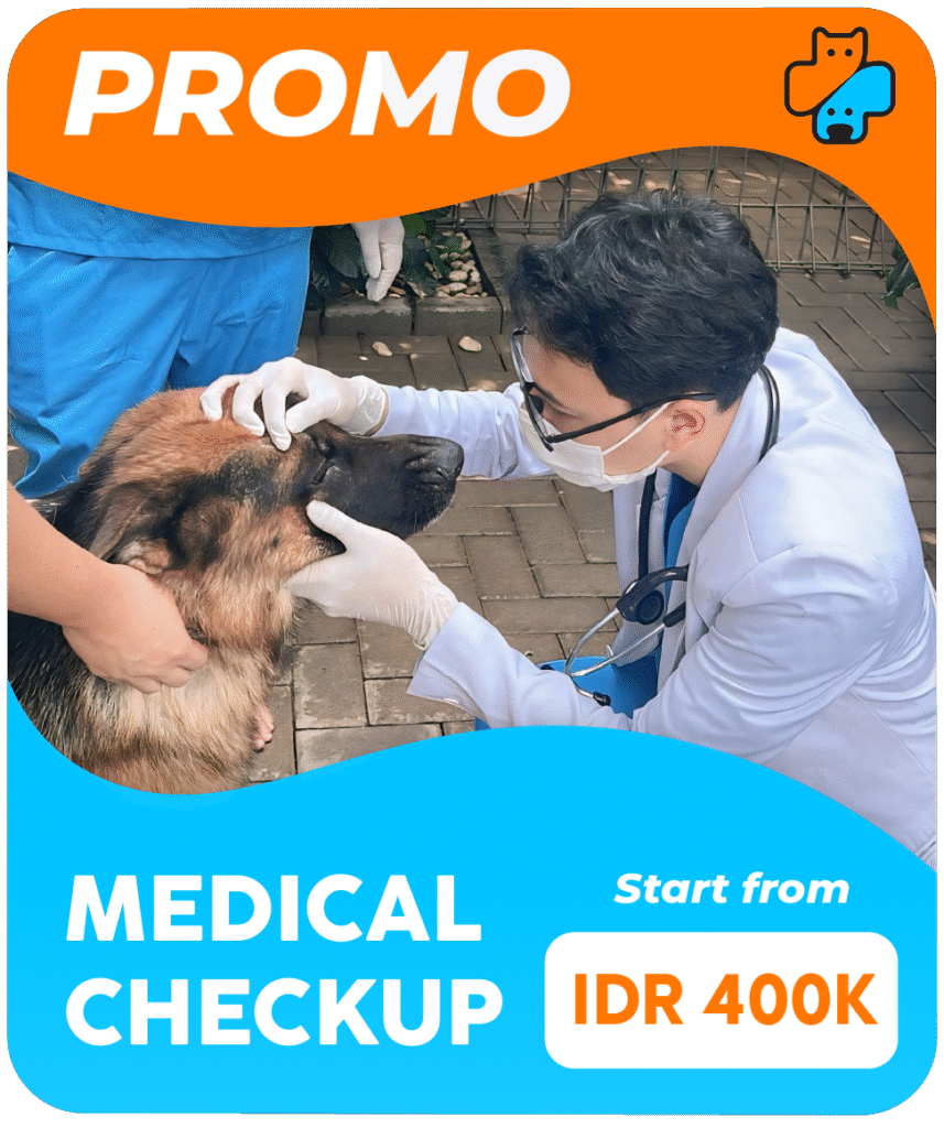 Vet Home Visit – At-Home Veterinarian Service – PARAVET – PARAVET.ID